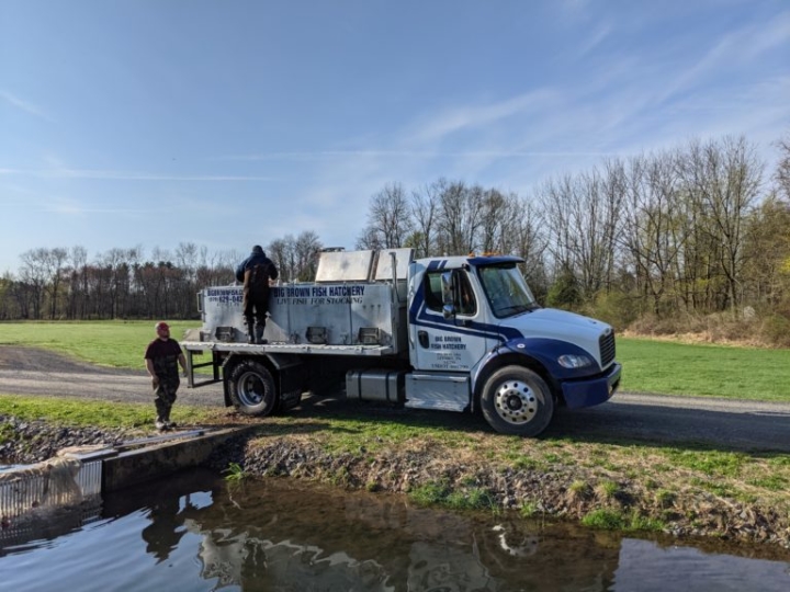 Fish for Stocking - Big Brown Fish Hatchery, Inc.